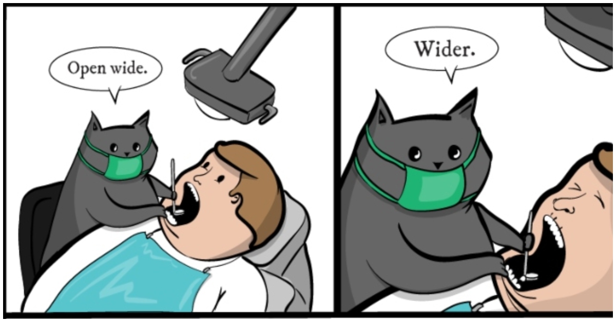 From Science to Pop Culture: 'The Oatmeal' Hilarious Comics Cover It ...