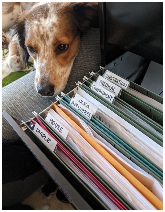 Elevate Your Living Space with These Clever and Effective Organizing ...