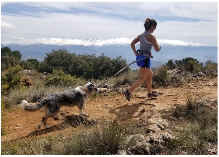 35+ Undiscovered Dog Wishes That Will Surprise Every Owner – avocadoposts