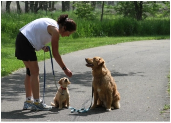 35+ Undiscovered Dog Wishes That Will Surprise Every Owner - Page 2 of ...