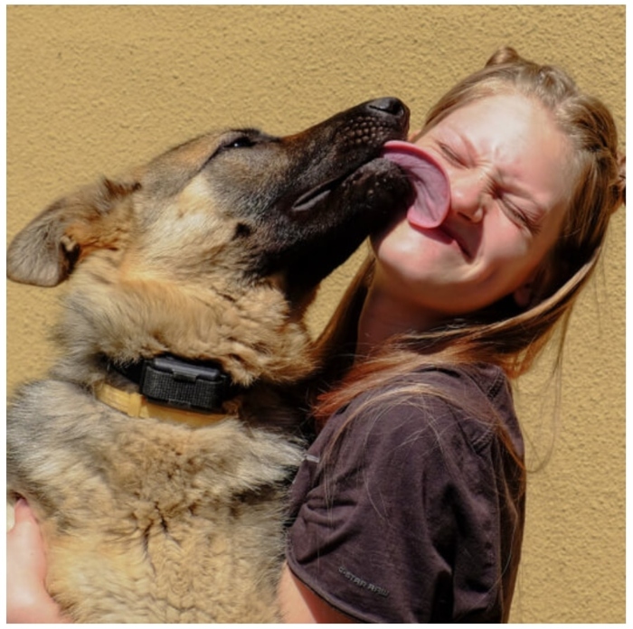 35+ Undiscovered Dog Wishes That Will Surprise Every Owner - Page 2 of ...