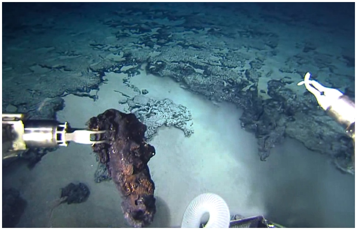 Can These Researchers Finally Confirm That Atlantis Existed? – avocadoposts